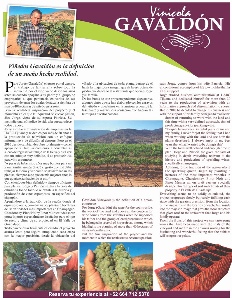 Viñedos Gavaldón es la definición de un sueño hecho realidad – Vinícola ...